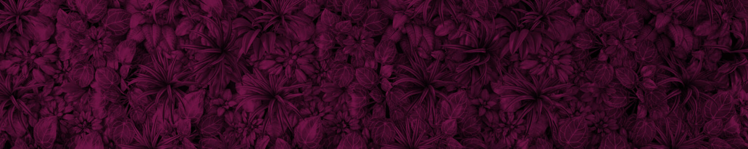 Mansfield Monk | About us, Our ESG Policy